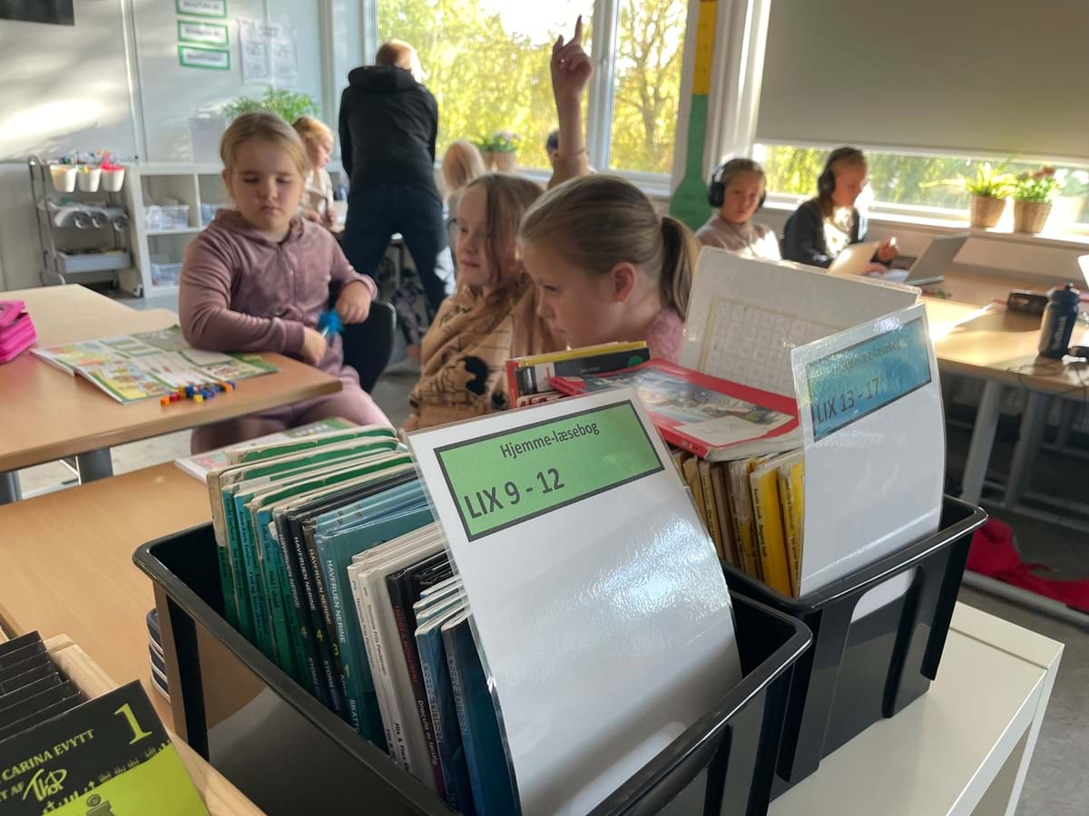 Læseplan for dansk i 4.klasse på Haslev Privatskole